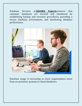 What is a Database Service? | DOCX