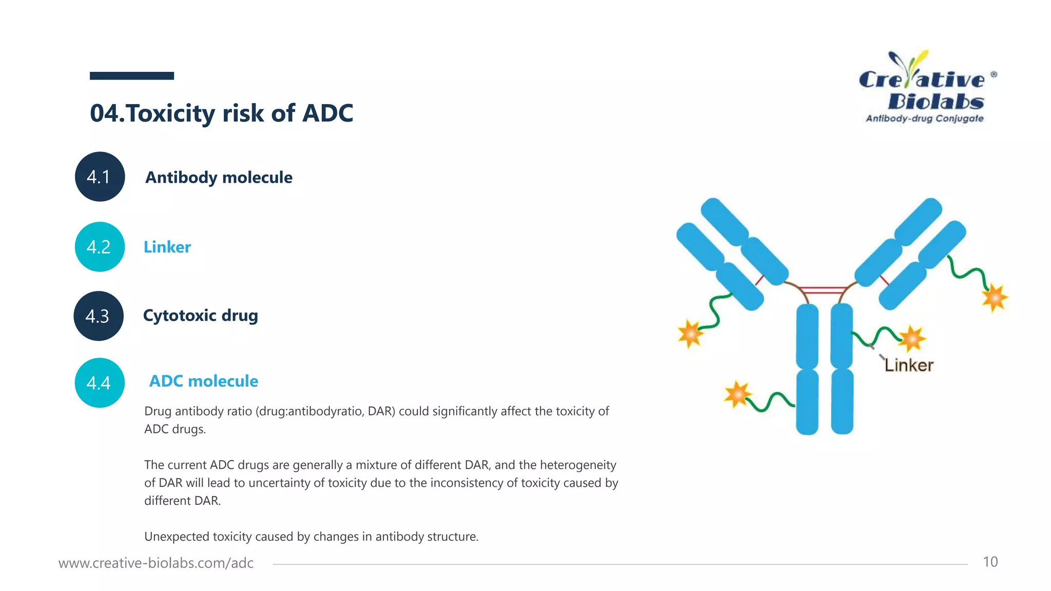 What is ADC? - Creative Biolabs | PPTX