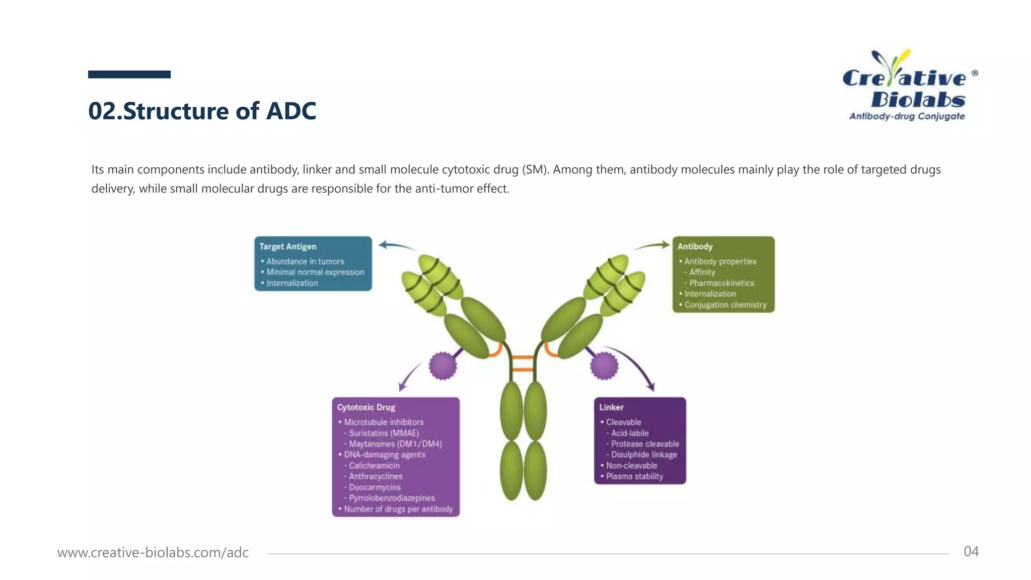 What is ADC? - Creative Biolabs | PPTX