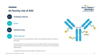 What is ADC? - Creative Biolabs | PPTX