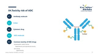 What is ADC? - Creative Biolabs | PPTX