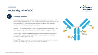 What is ADC? - Creative Biolabs | PPTX