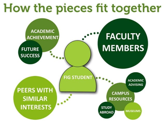 What is a fig | PPTX