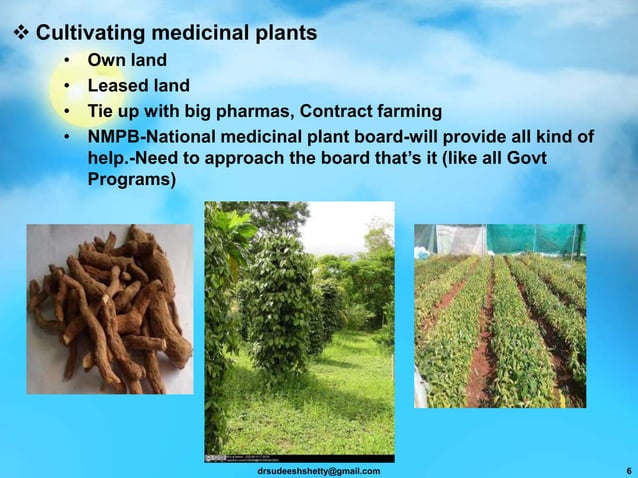 What is after BAMS, career opportunities after BAMS/Ayurveda | PPT