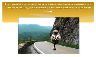 What is a fuglar | PPT