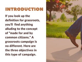 What Is a Grassroots Campaign? | PPT