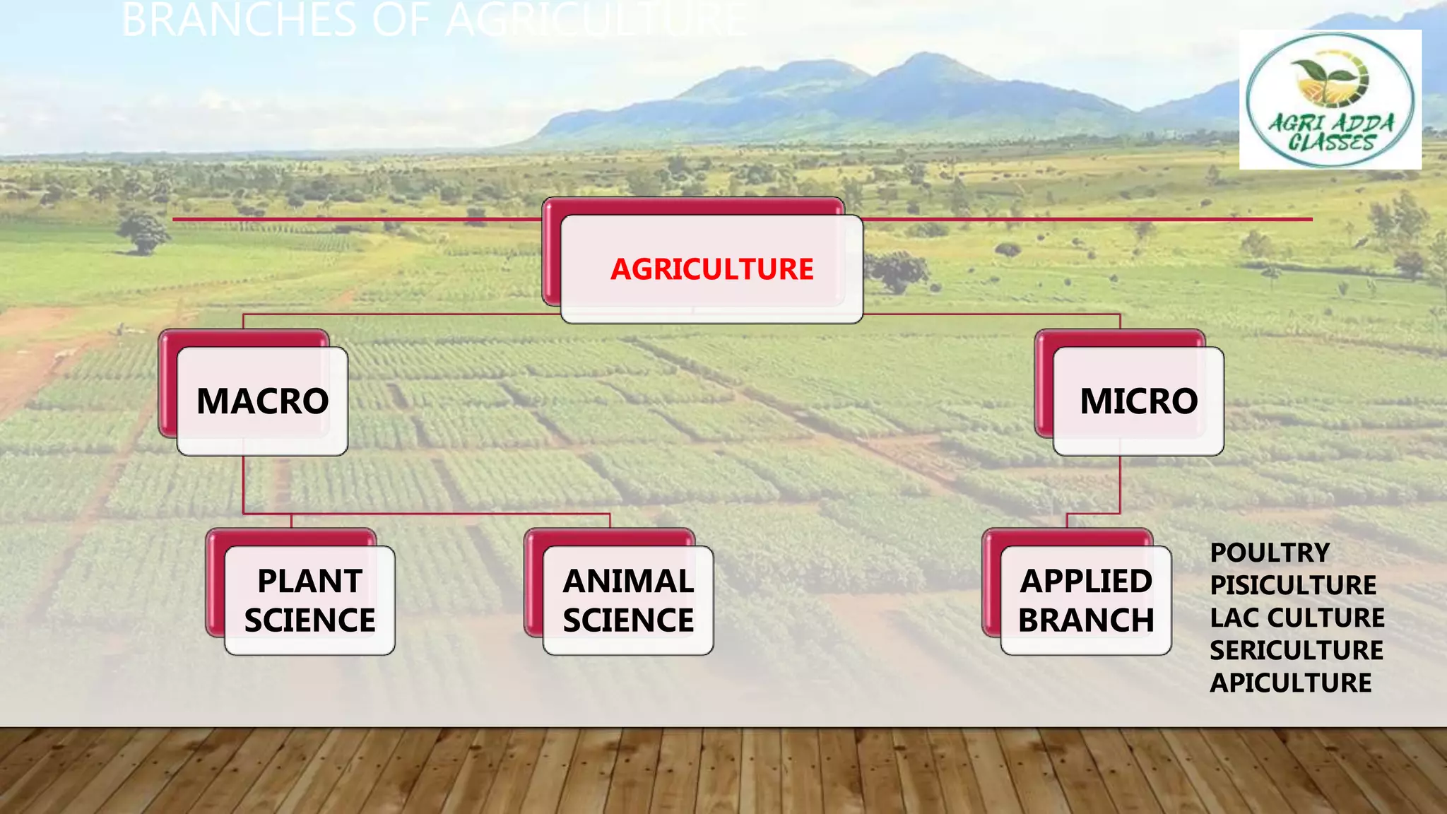 WHAT IS AGRICULTURE.pptx