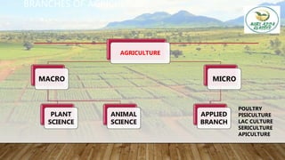 WHAT IS AGRICULTURE.pptx