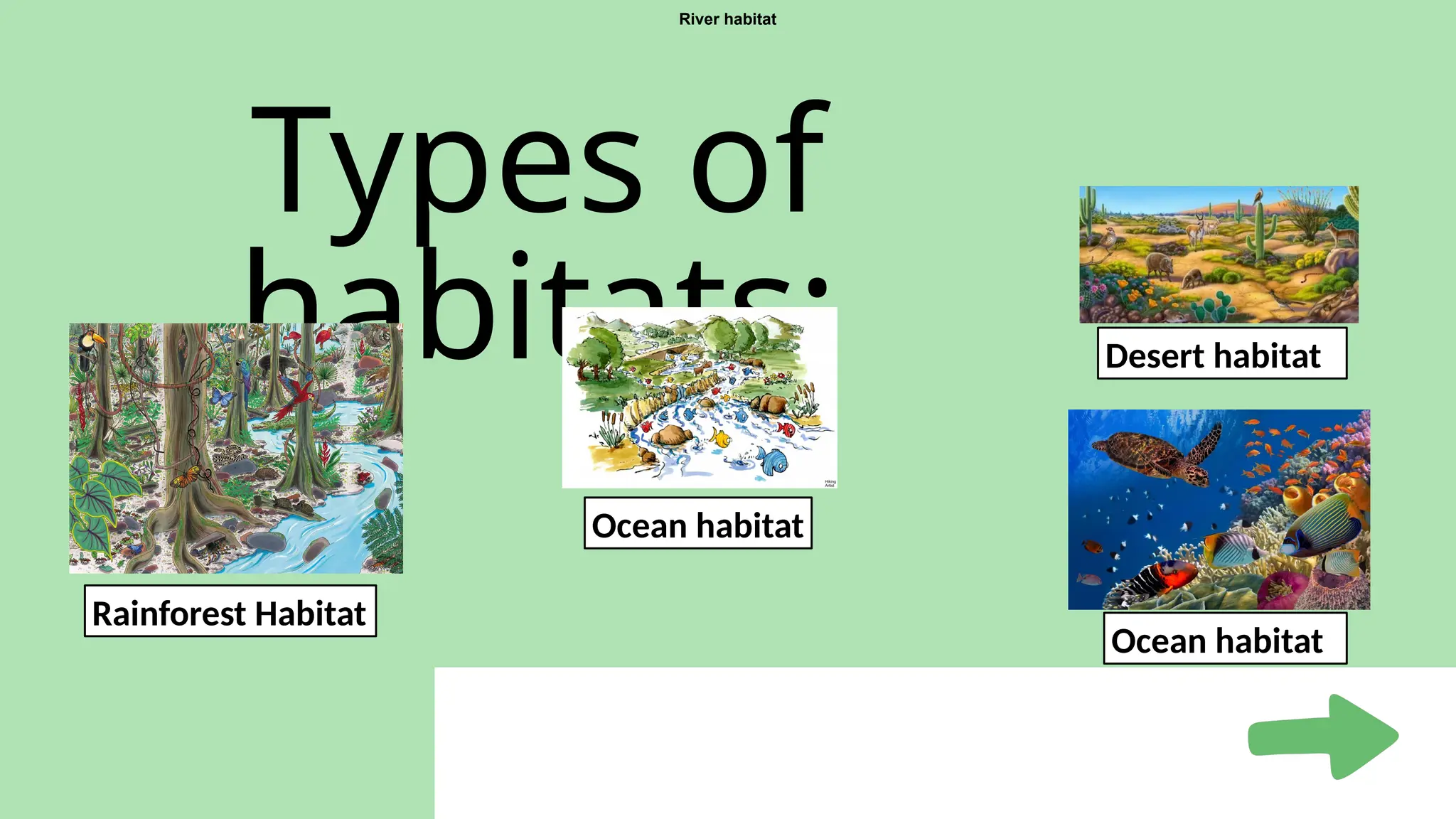 What is a Habitat PPT.pptx what plants and animals live | PPT