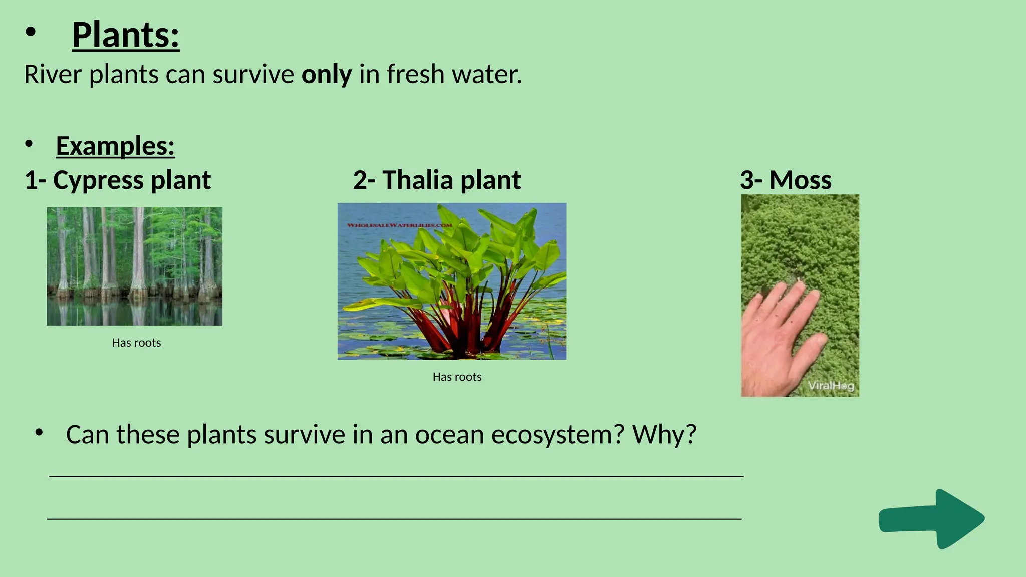 What is a Habitat PPT.pptx what plants and animals live | PPT