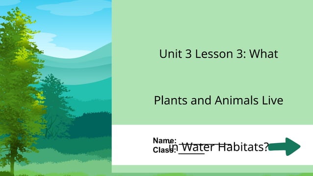 What is a Habitat PPT.pptx what plants and animals live | PPT