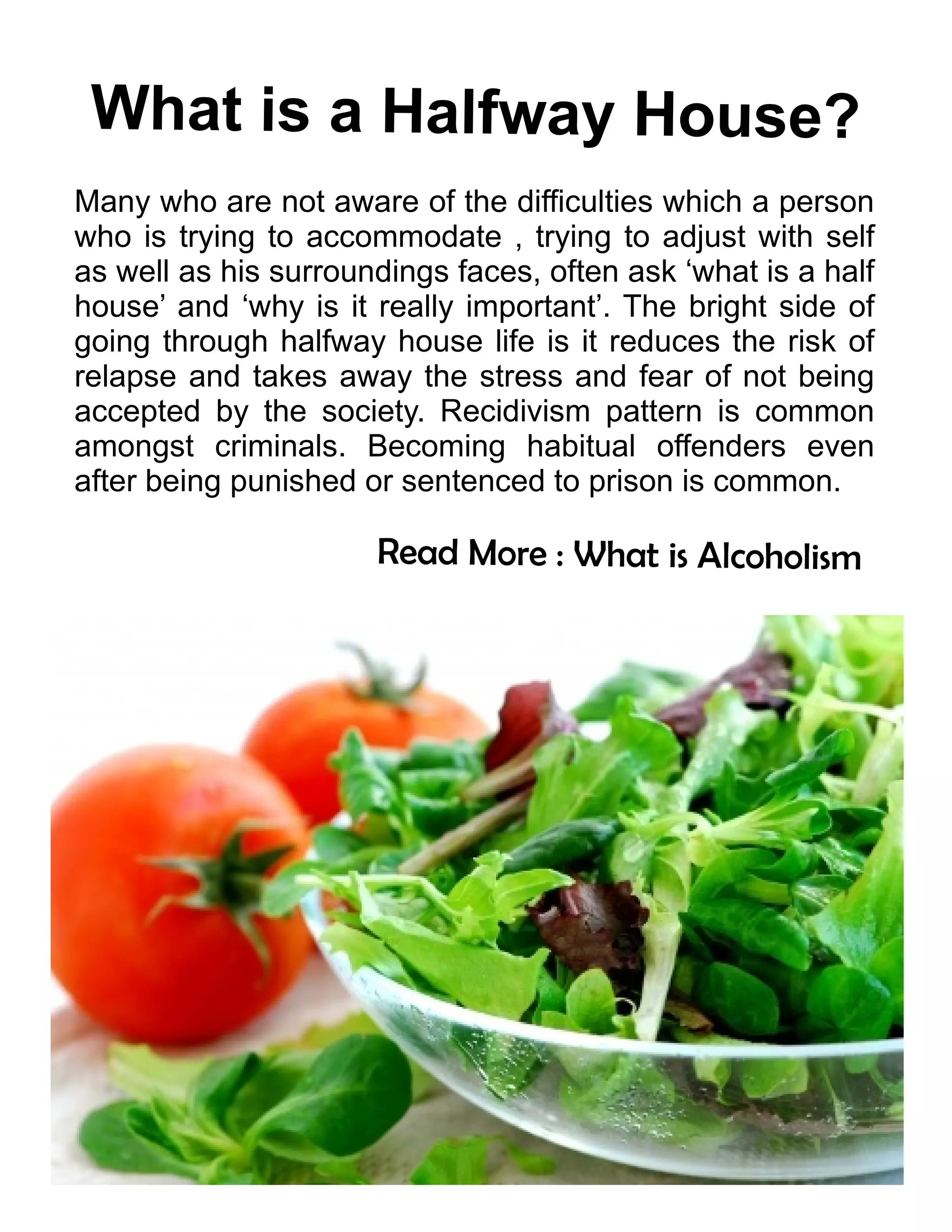 What is a Halfway House? | PDF