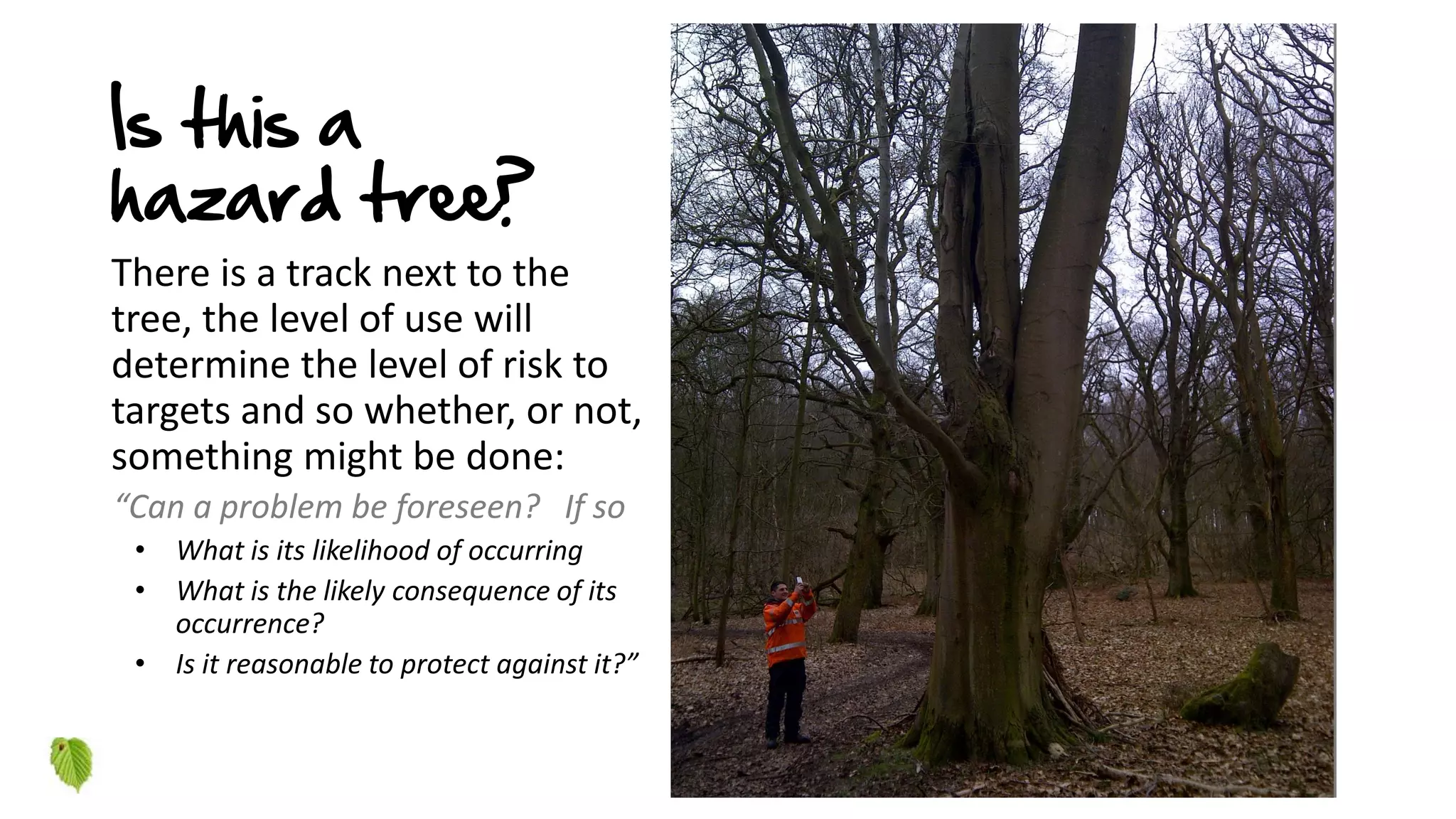 What is a hazard tree | PDF