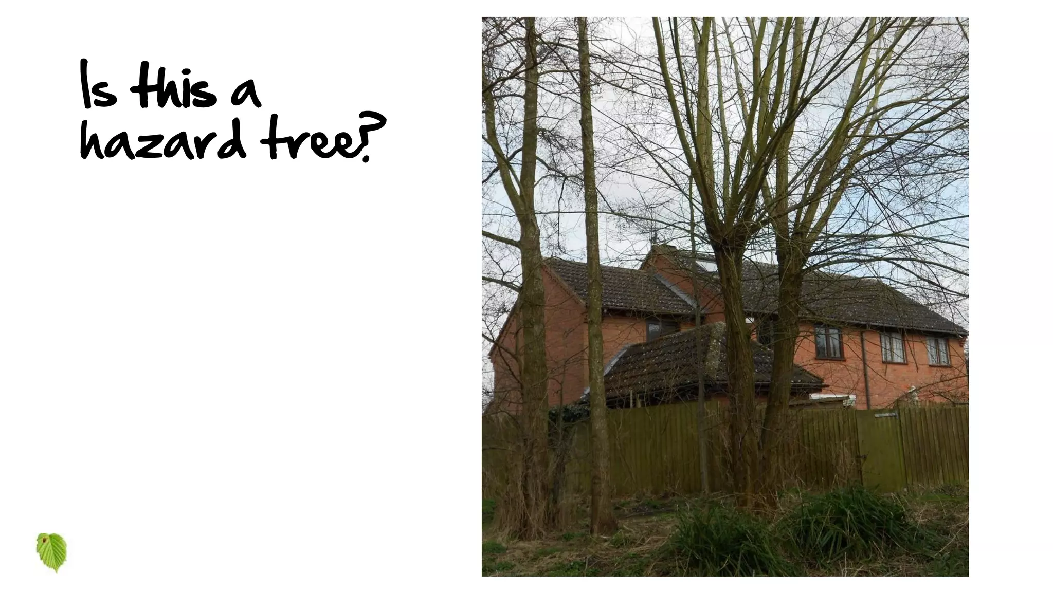 What is a hazard tree | PDF