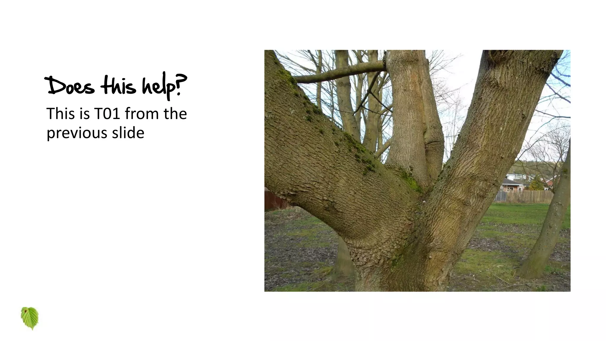 What is a hazard tree | PDF