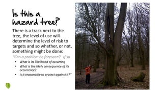 What is a hazard tree | PDF