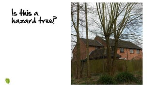 What is a hazard tree | PDF