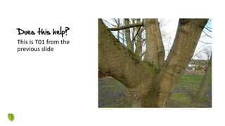 What is a hazard tree | PDF