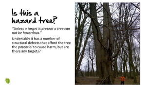 What is a hazard tree | PDF
