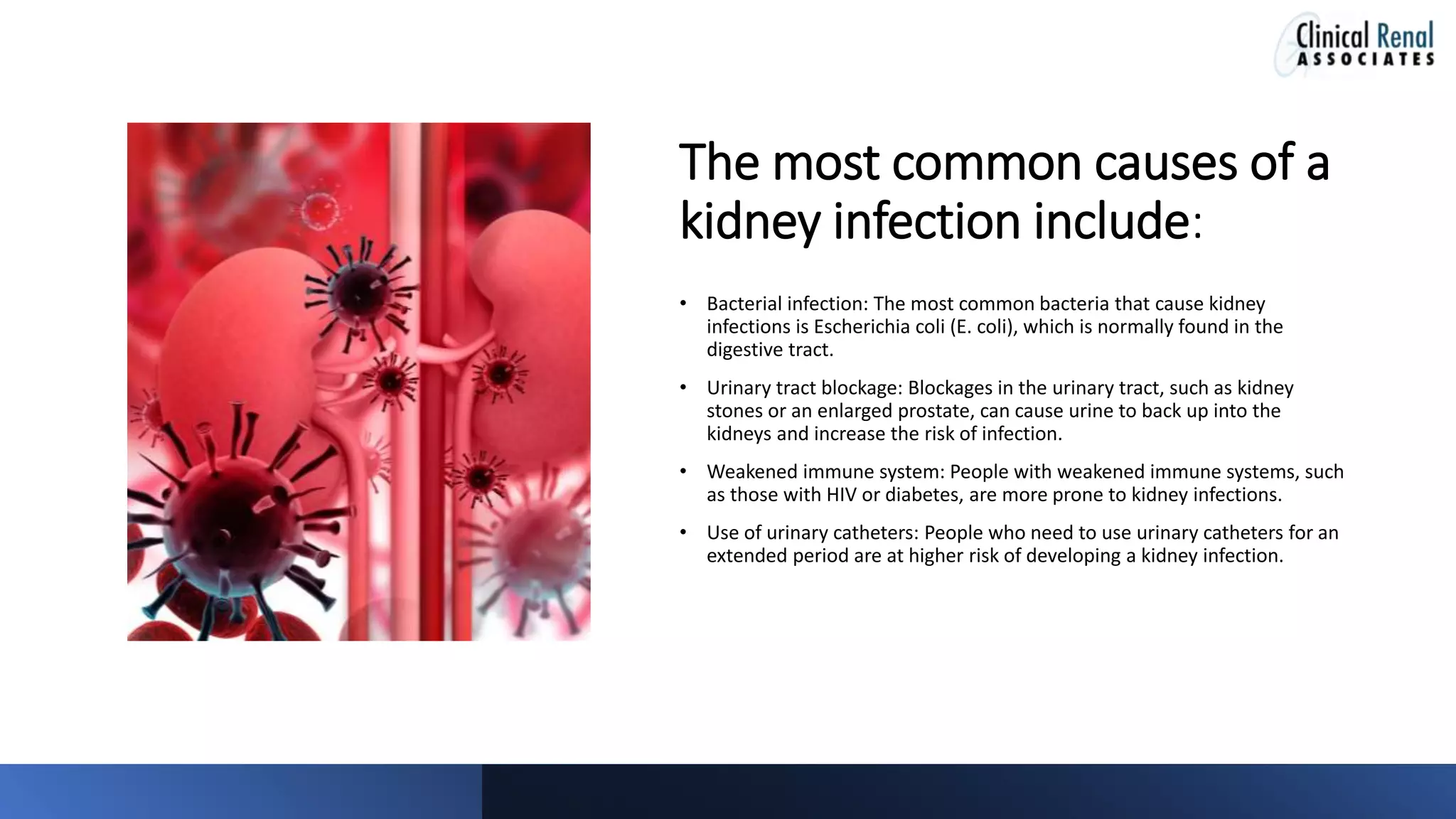 What is a Kidney Infection.pptx