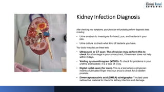 What is a Kidney Infection.pptx