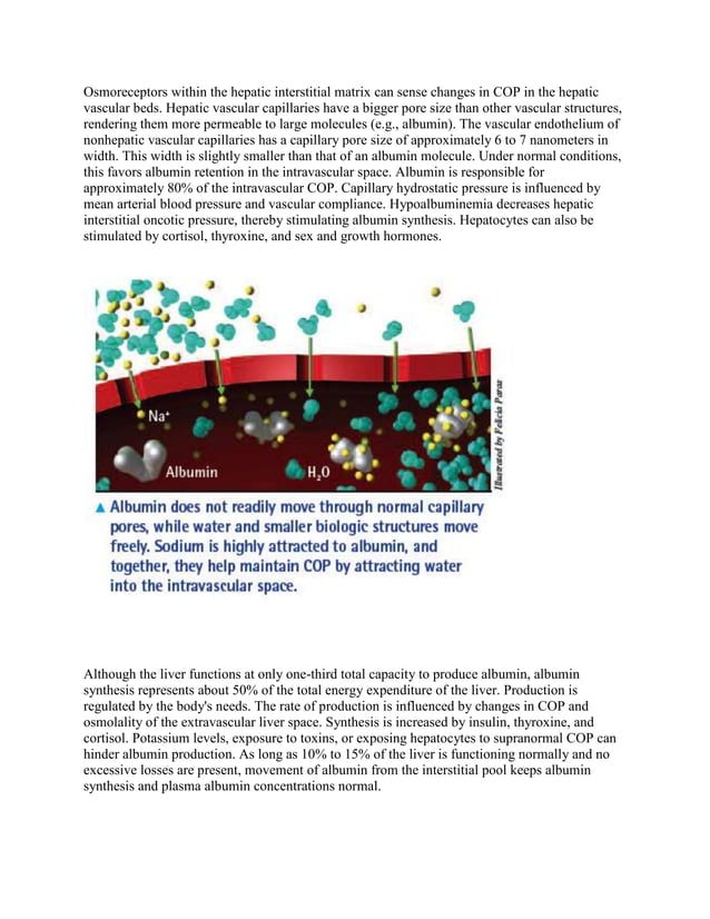 What is Albumin.docx | Digestive Disorders | Diseases and Conditions