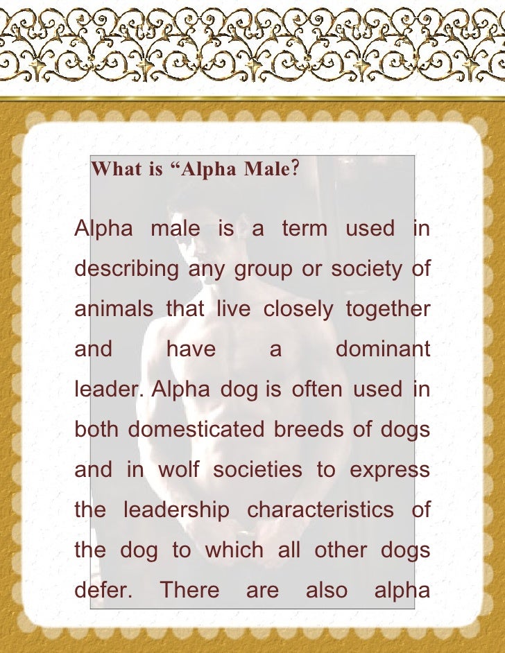 What is the Alpha Male? Accompaniment to the slide presentation "The