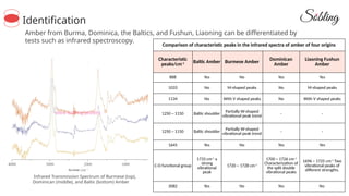 What Is Amber Gemstone - A Journey Through History, Science, And ...