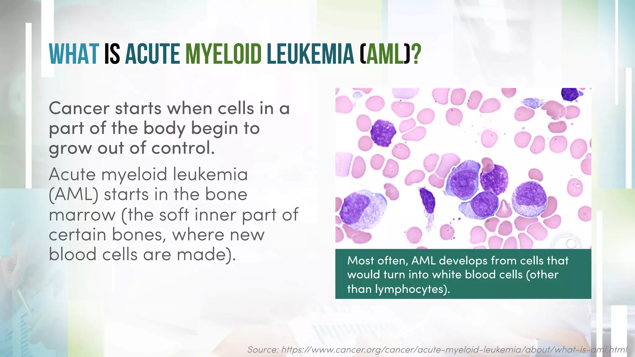 Acute Myeloid Leukemia (AML): Cancer of the Blood & Bone Marrow | PDF ...