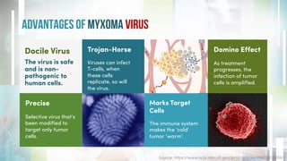 Acute Myeloid Leukemia (AML): Cancer of the Blood & Bone Marrow | PDF ...