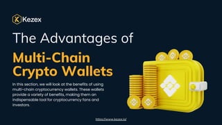 What is a multi-chain crypto wallet. pdf | PPT