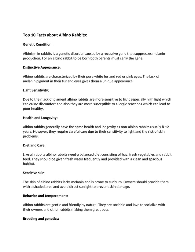 What is an Albino Rabbit: Physical Body of Albino Rabbit Breed | DOCX ...