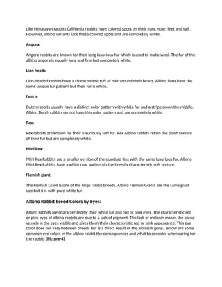 What is an Albino Rabbit: Physical Body of Albino Rabbit Breed | DOCX