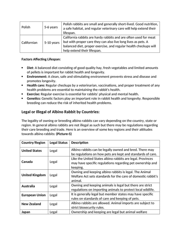 What is an Albino Rabbit: Physical Body of Albino Rabbit Breed | DOCX ...