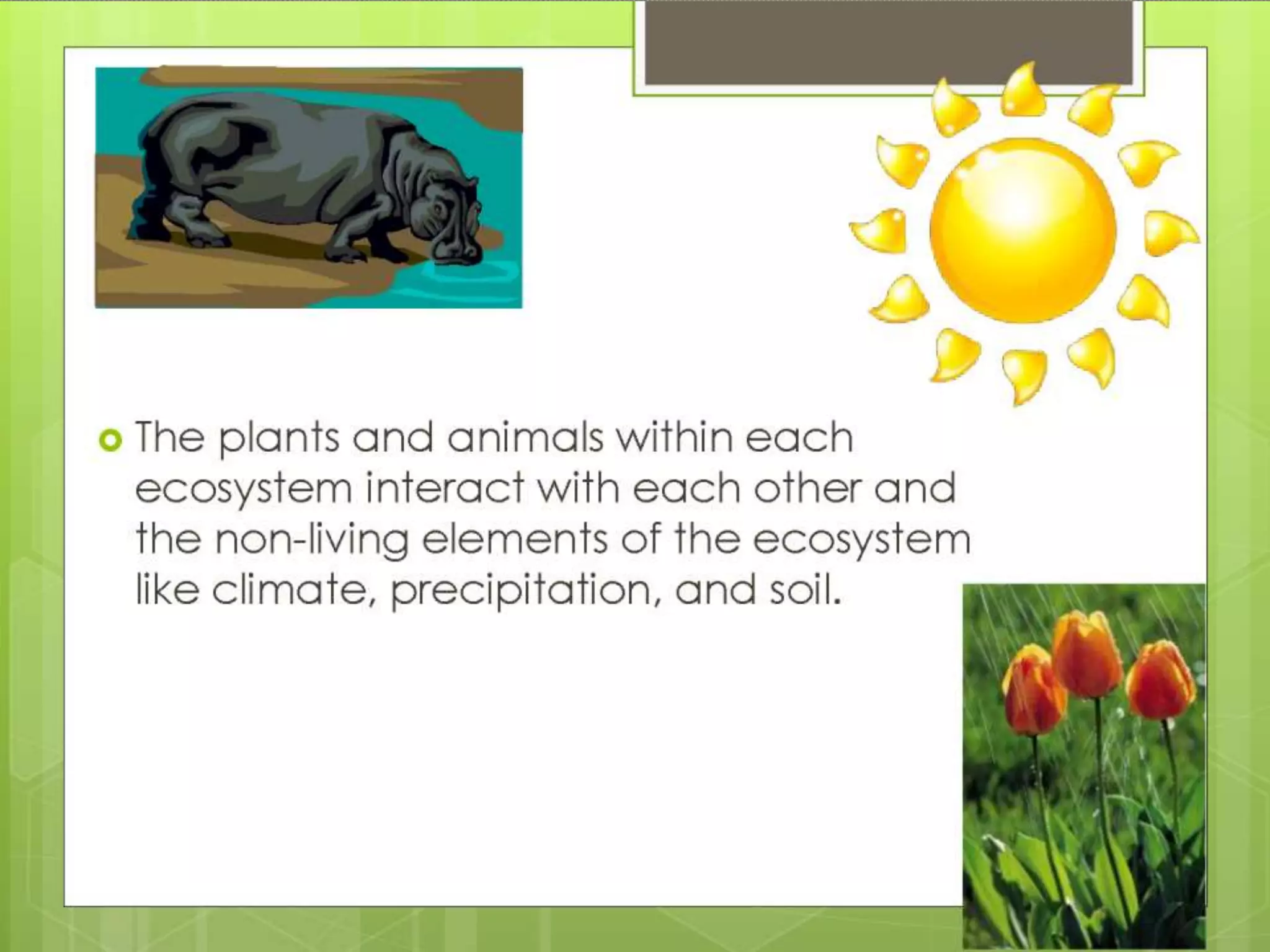 What is an ecosystem | PPTX