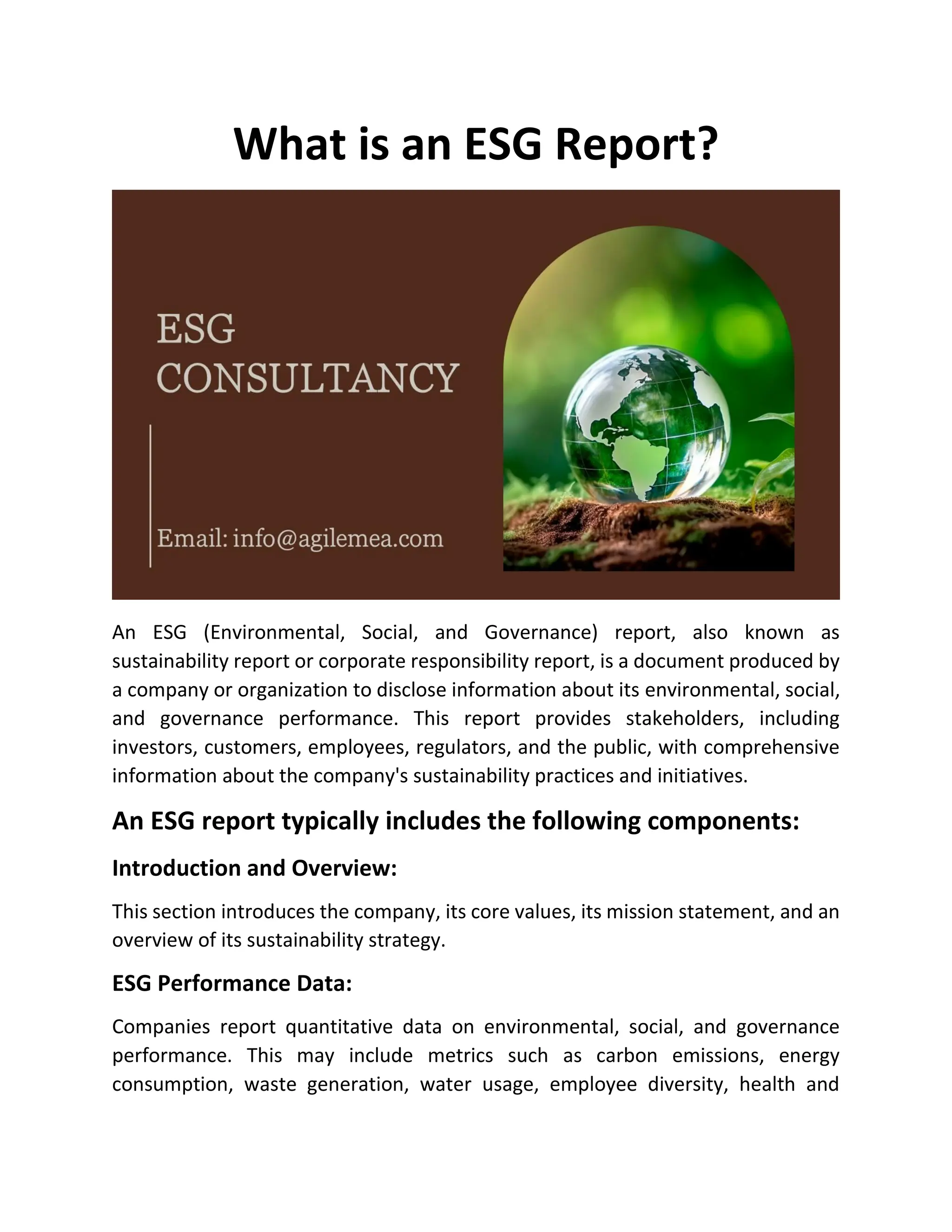 What is an ESG Report.pdf
