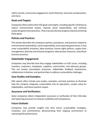 What is an ESG Report.pdf