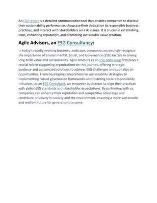 What is an ESG Report.pdf