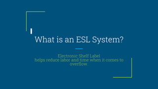 What is an ESL System_.pptx