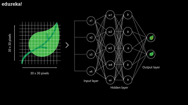 What is a Neural Network | Edureka | PDF | Artificial Intelligence | Technology & Computing