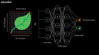 What is a Neural Network | Edureka | PDF