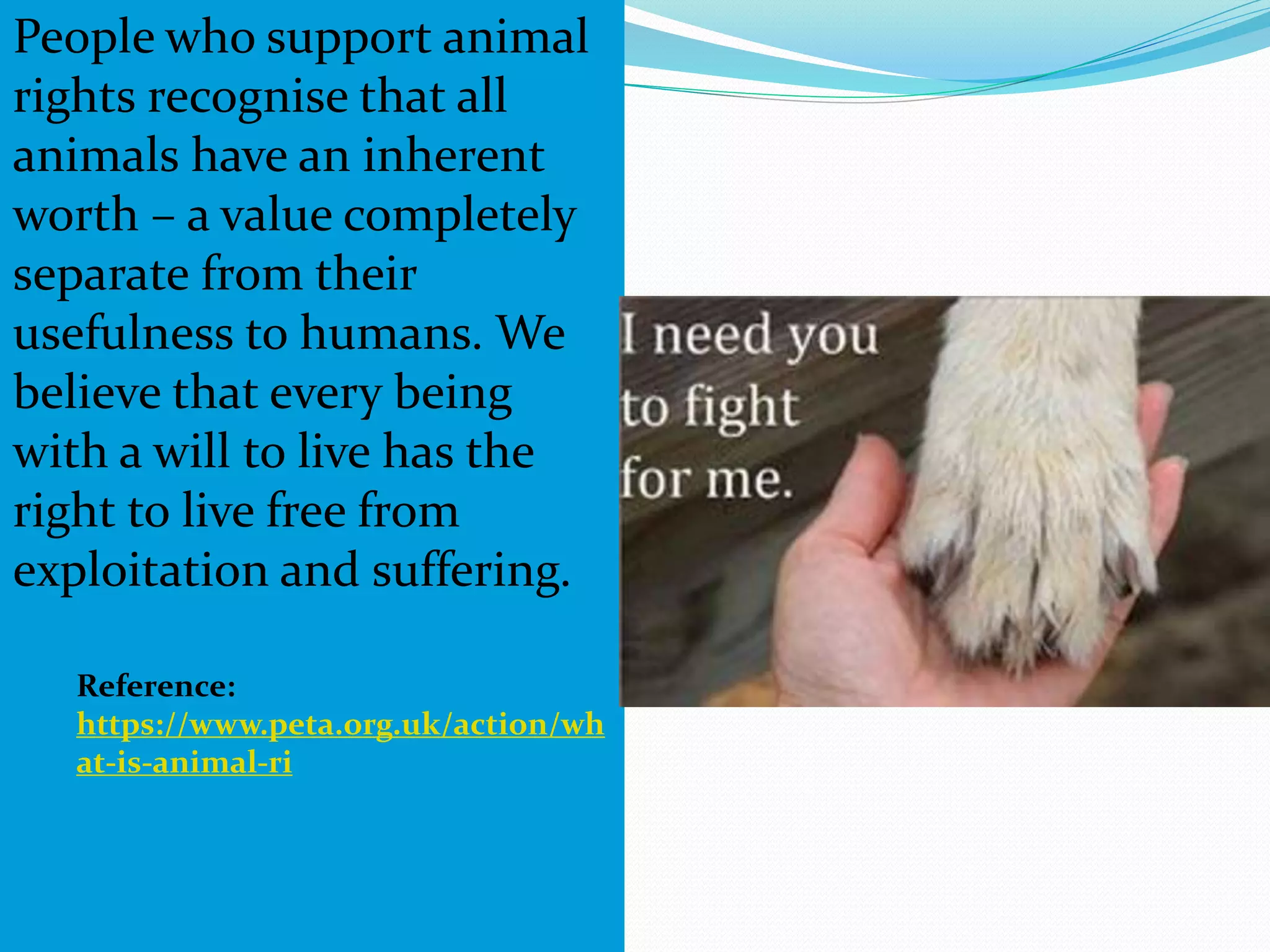 What is Animal Rights | PPTX