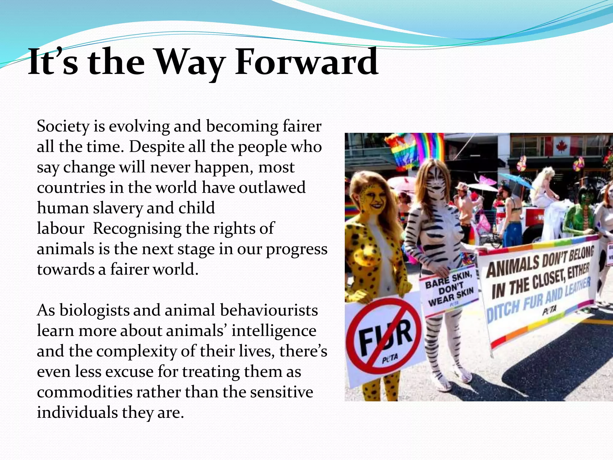 What is Animal Rights | PPTX