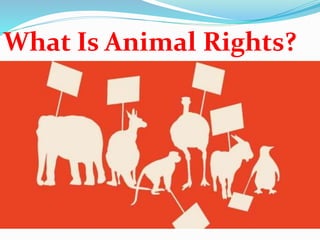 What is Animal Rights | PPTX