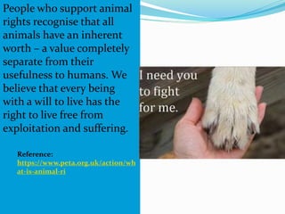 What is Animal Rights | PPTX