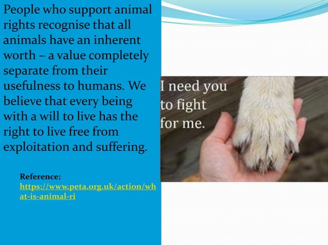 What is Animal Rights | PPT