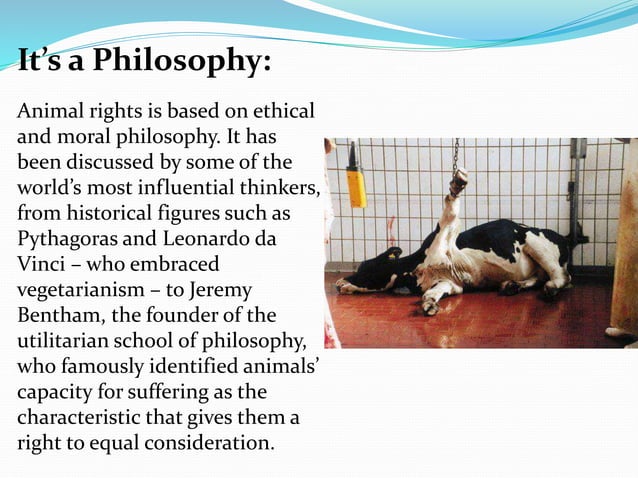 What is Animal Rights | PPT