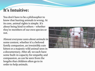 What is Animal Rights | PPTX
