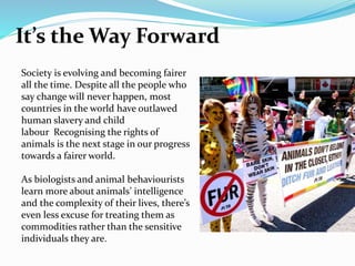 What is Animal Rights | PPTX