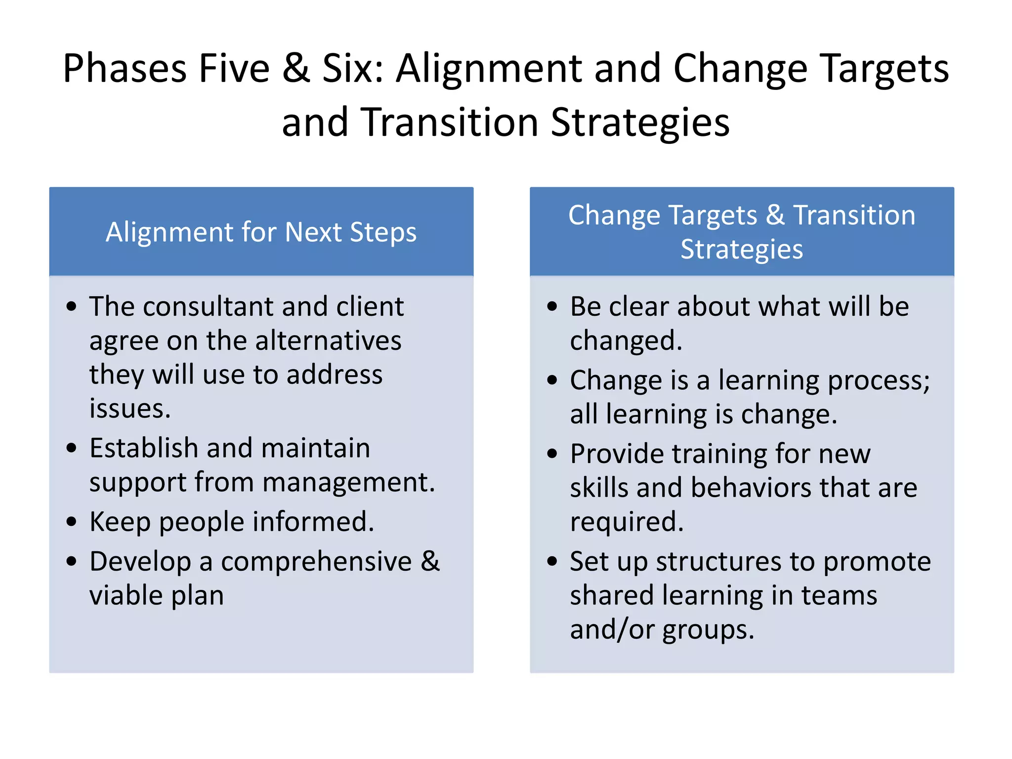 What is an internal consultant | PPT